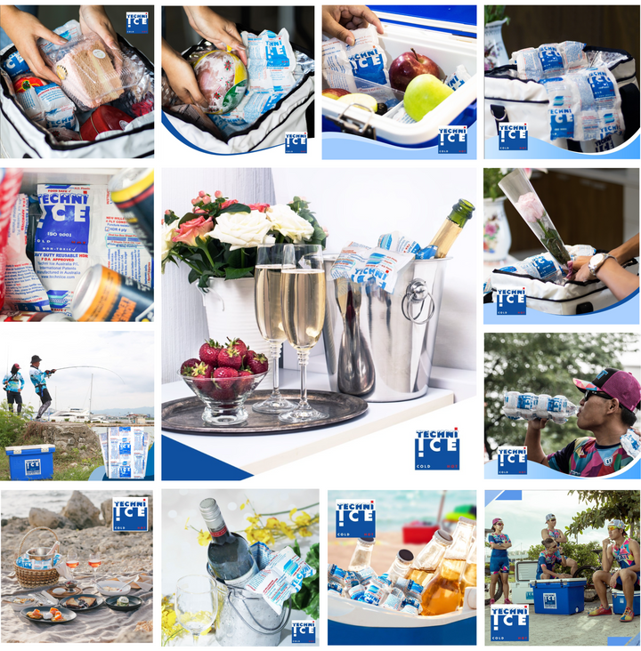 Dry Ice Packs - Buy Techni Ice Packs for Various Applications